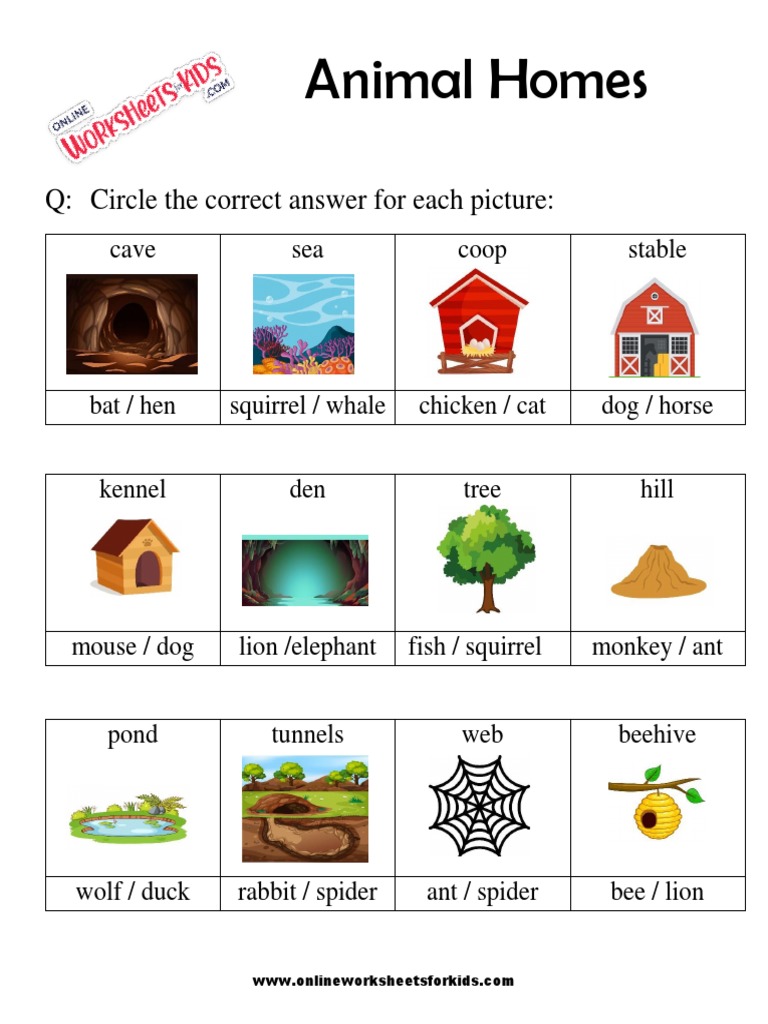 Fun Animal Homes for Kids | PDF