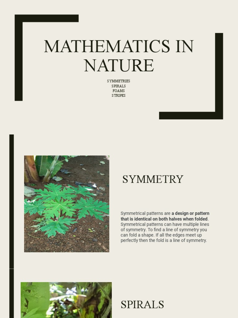 Nature's Mathematical Patterns | PDF | Language Arts & Discipline ...