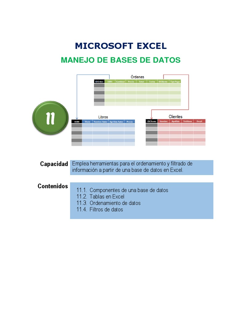Computación II-Tema 11 - Hum | PDF | Microsoft Excel | Bases de datos