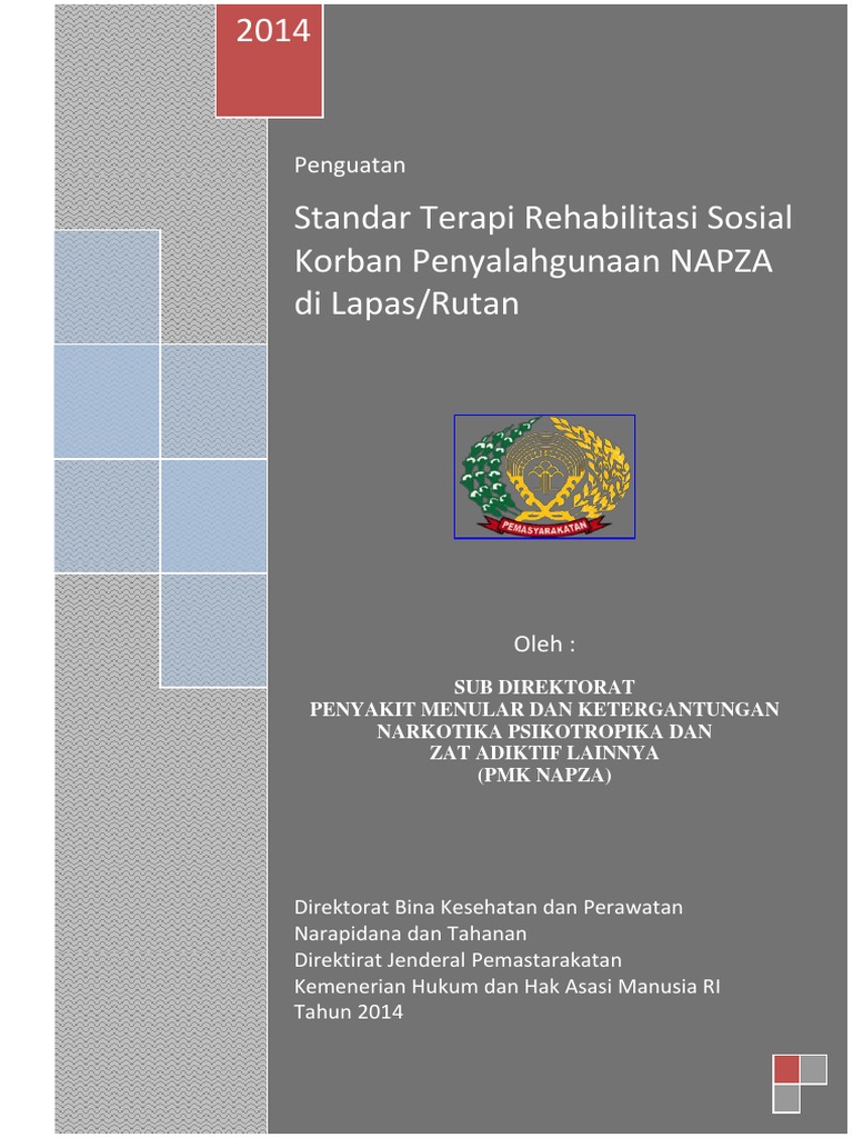 Standar Terapi Rehabilitasi Sosial Penyalahgunaan Napza Di Lapas-Rutan ...