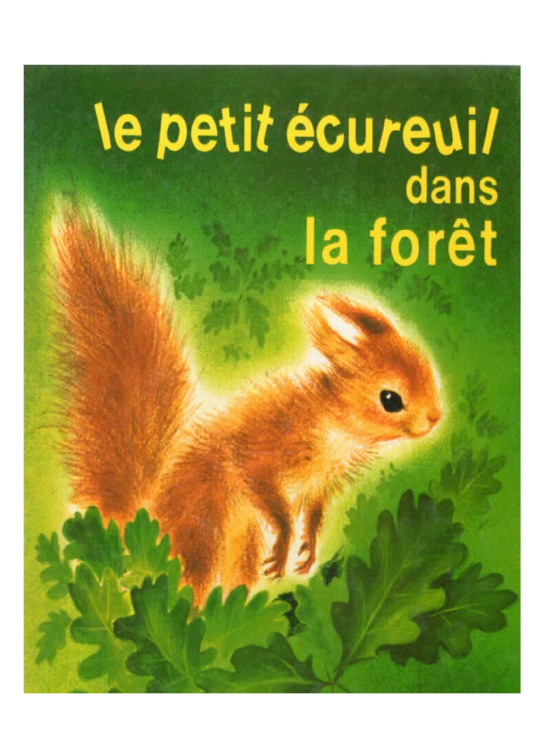 Lecture Le Petit Écureuil Dans La Forêt | PDF