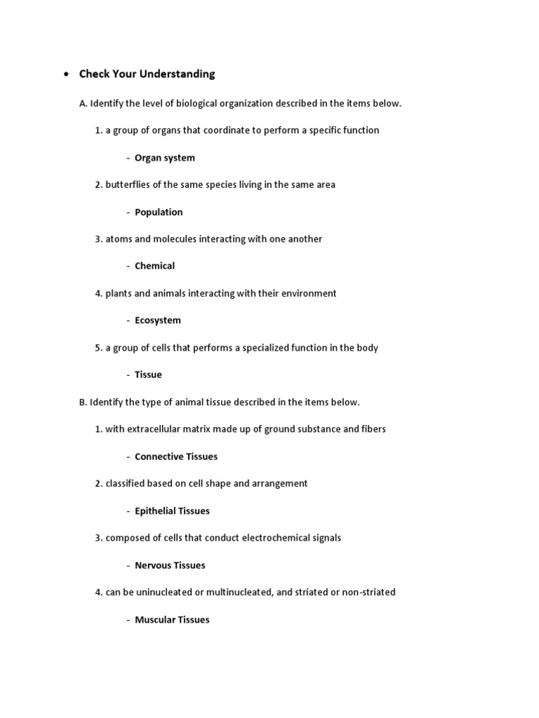 Answers UNIT 2 Lesson 2.2 Structures of Animal Cells | PDF | Epithelium ...