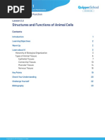 Cell Modification: Mr. Kevin Francis E. Magaoay | PDF | Epithelium ...