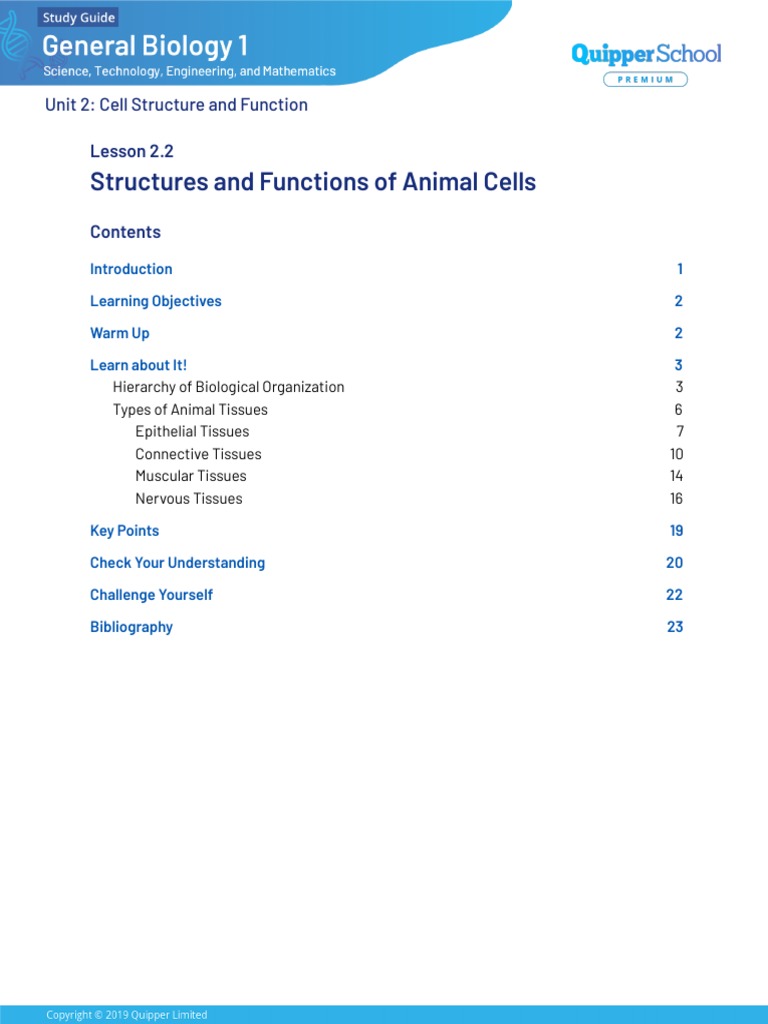 UNIT 2 Lesson 2.2 Structures of Animal Cells | PDF | Epithelium | Neuron
