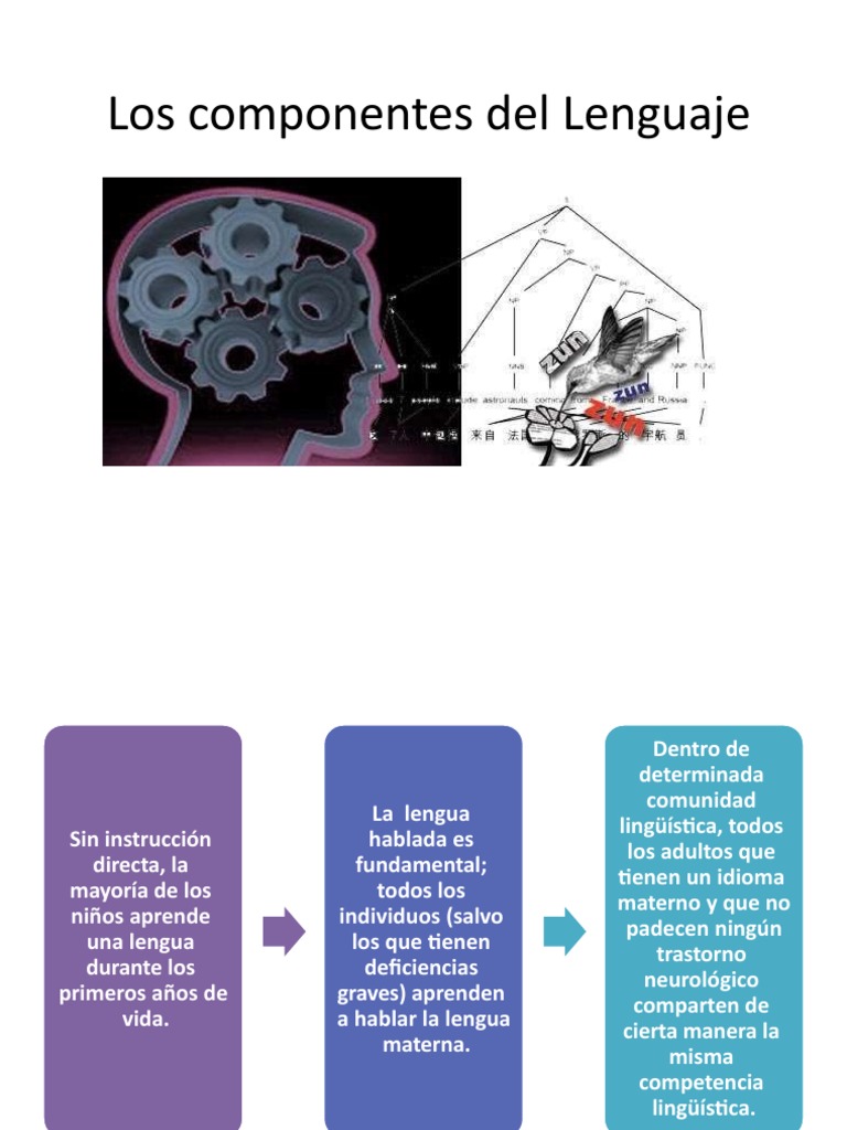Clasificación de Los Componentes Del Lenguaje | PDF | Palabra | Oración ...