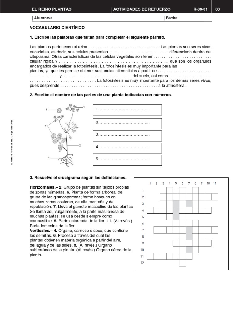 BG1 - R-08-01. Vocabulario Cientifico | PDF | Plantas | Biología Celular)