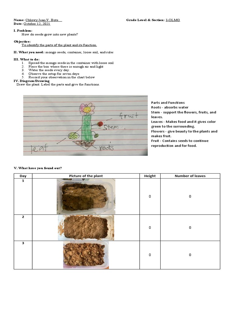 Worksheet - Laboratory Activity Germination of Seeds | PDF | Plants | Seed