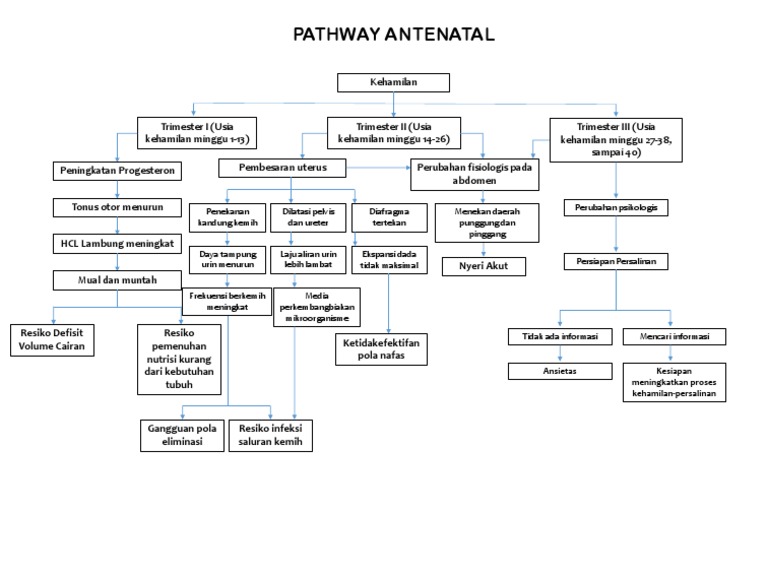 Pathway Antenatal Angelina Widya | PDF