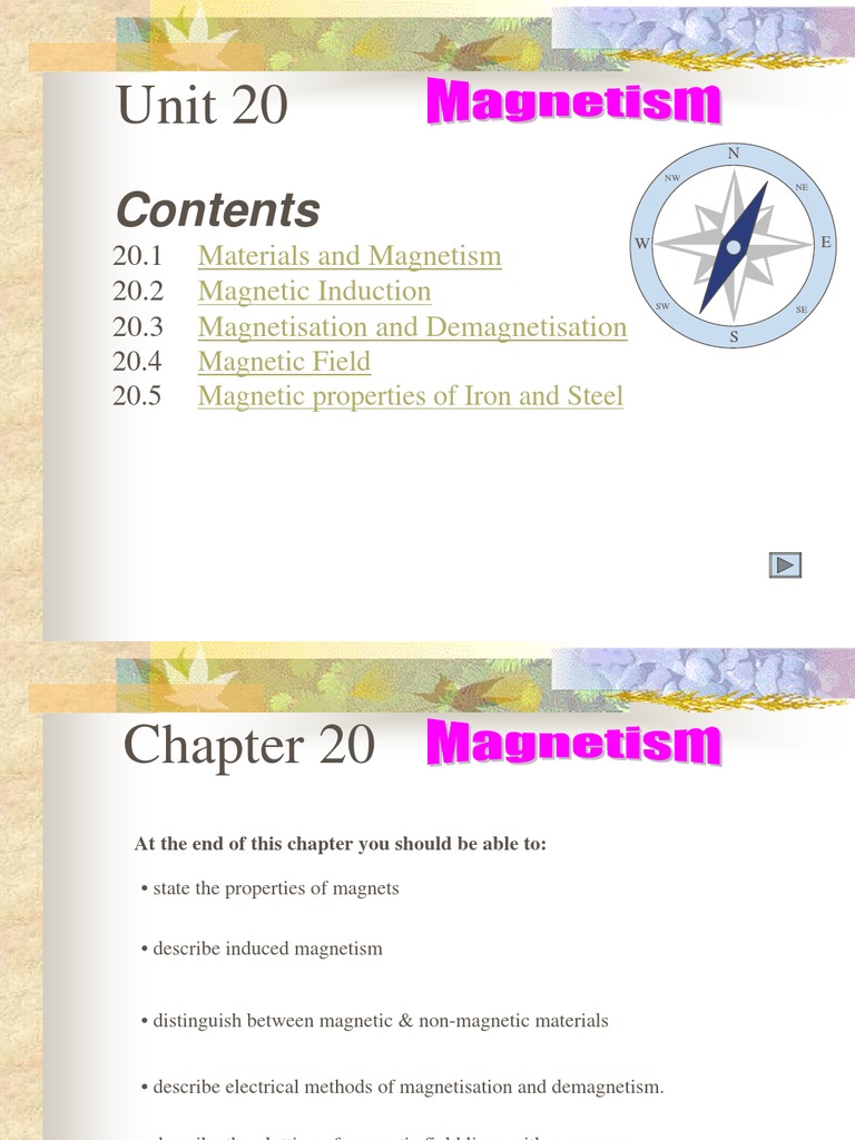 Magnetism Slides | PDF | Magnet | Magnetism