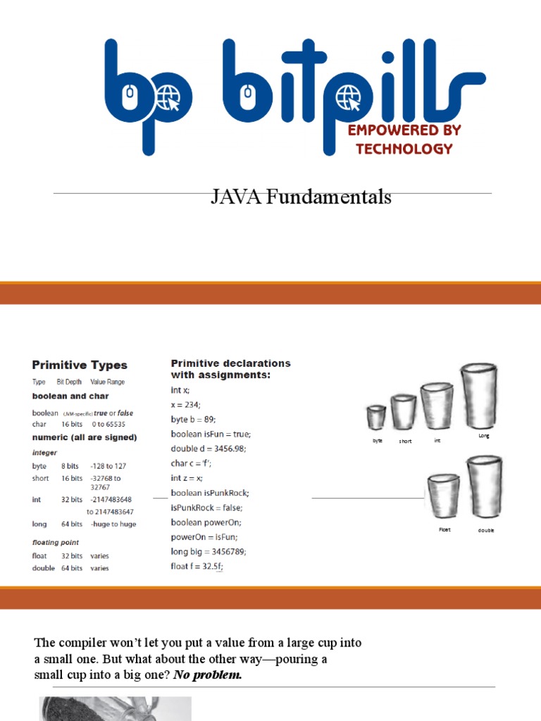 Java Datatypes | PDF | Variable (Computer Science) | Programming Paradigms