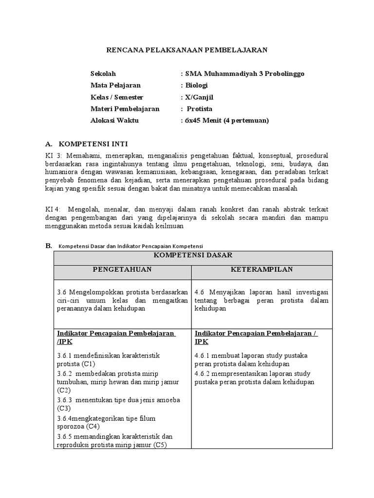 RPP KD 3 6 Protista | PDF