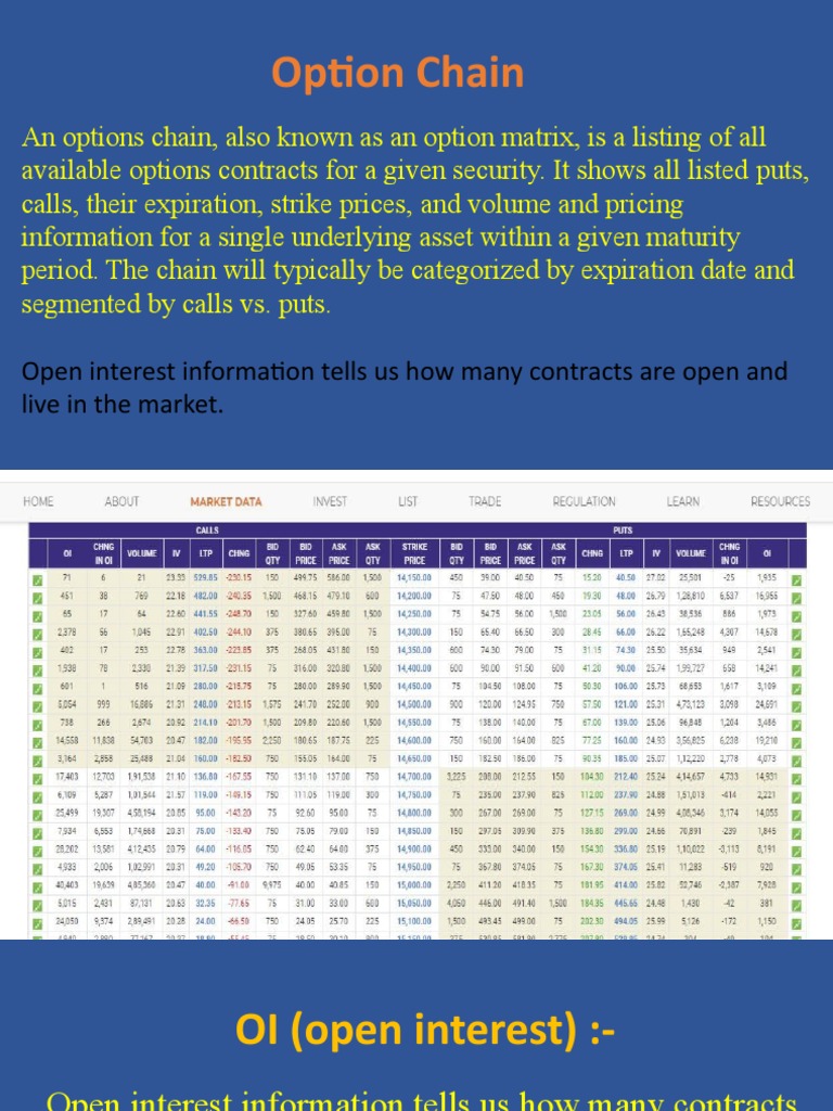 Understanding Option Chain Basics | PDF | Business | Finance & Money ...