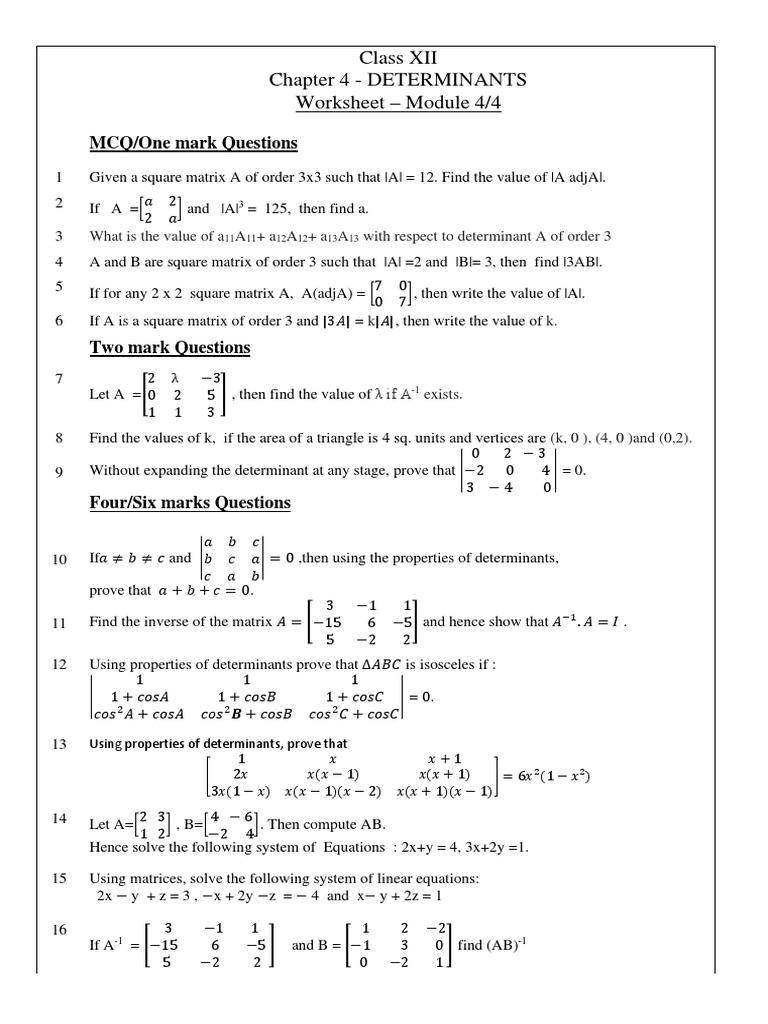 Class 12 Determinants Worksheet | PDF | Determinant | Matrix (Mathematics)