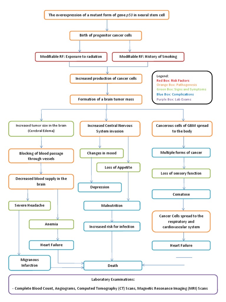Pathophysiology of GBS | PDF | Cancer | Brain Tumor