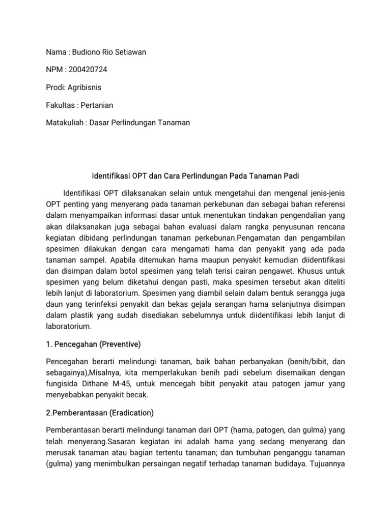 Identifikasi dan Pengendalian OPT pada Tanaman Padi | PDF
