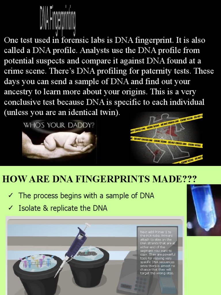 DNA Fingerprinting | PDF | Gel Electrophoresis | Dna Profiling