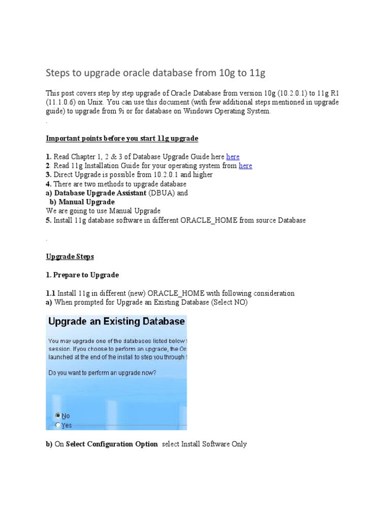 Steps To Upgrade Oracle Database From 10g To 11g Pdf Oracle Corporation Relational Database