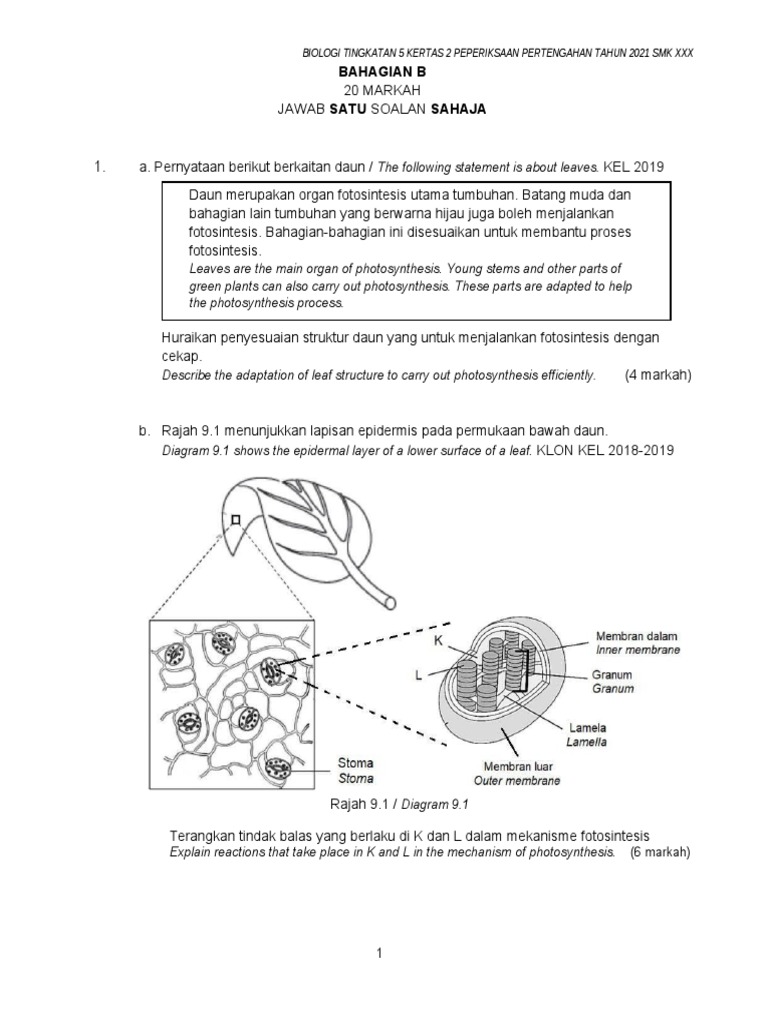 Soalan 5 Stem Al Sufi Bahagian B Dan C | PDF