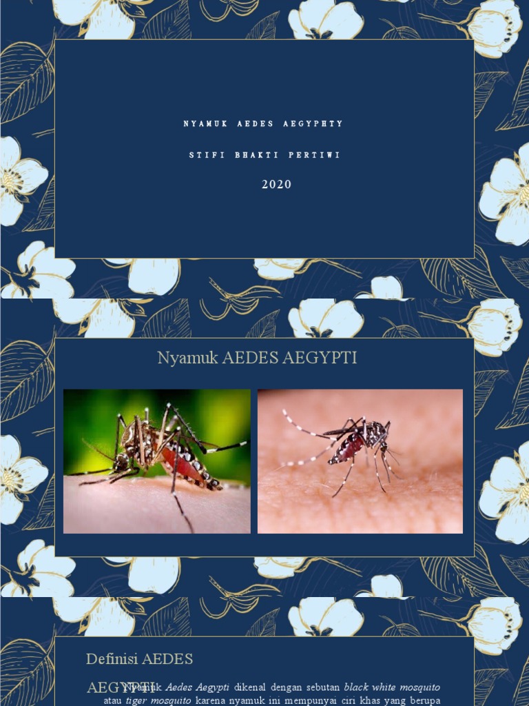 Aedes Aegypti | PDF