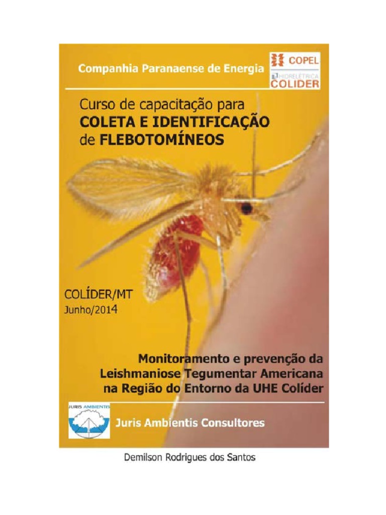 APOSTILA Curso de Identificação de Flebotomíneos | PDF | Leishmania ...