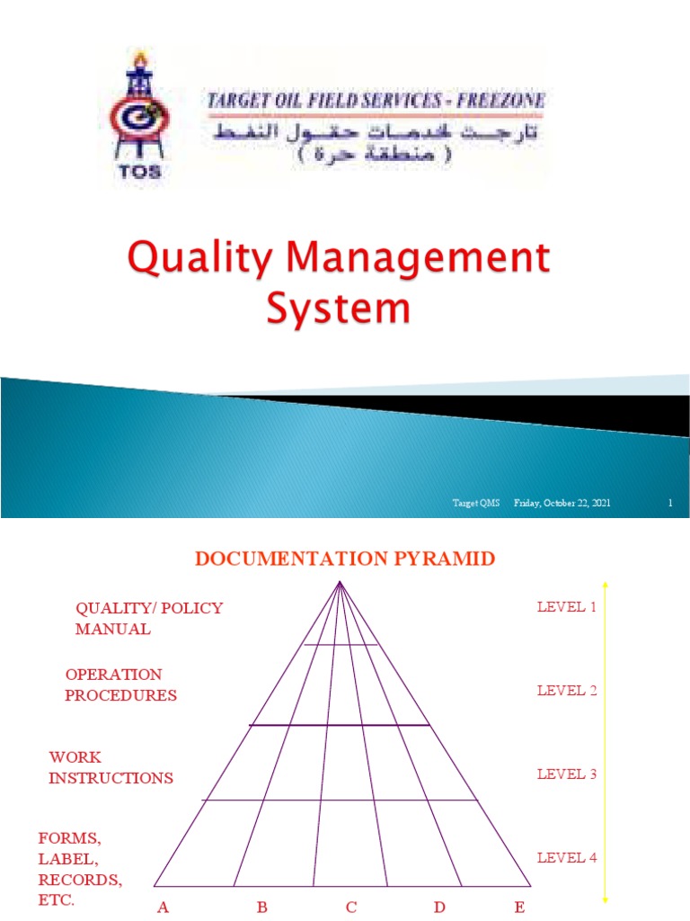 Quality Management System Guide | PDF | Quality Management System | Audit