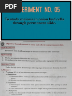 Class 12 Biology Lab Manual Practical Content 2023-24-1 | PDF | Meiosis ...