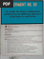 Study of Plant Population Density by Quadrat Method Lab | PDF | Density ...