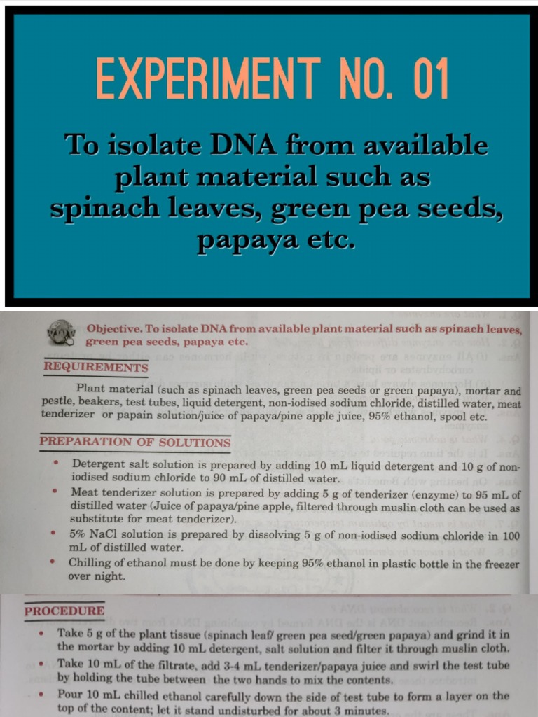 Fxperiment No. 01: To Isolate DNA From Available | PDF | Sodium ...