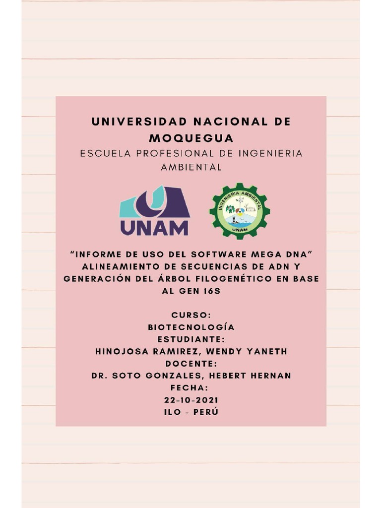 Informe N°02 - Informe de Uso Del Software Mega Dna | PDF | Alineación ...