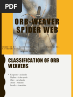 War Against Witchcraft Spider and Evil Cobwebs | PDF | Spider Web | Spider