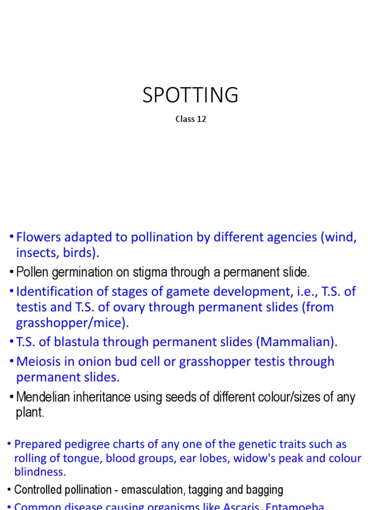 Spotting: Class 12 | PDF | Meiosis | Dominance (Genetics)
