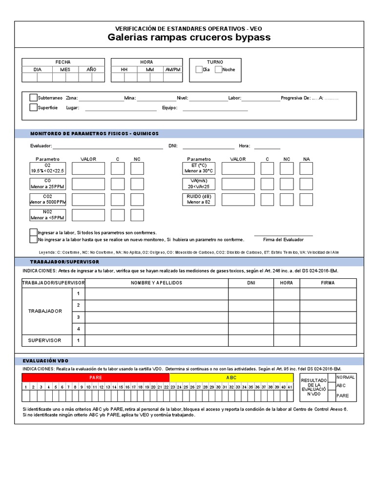 Nuevo Formato VEO v01 - Trabajador | PDF