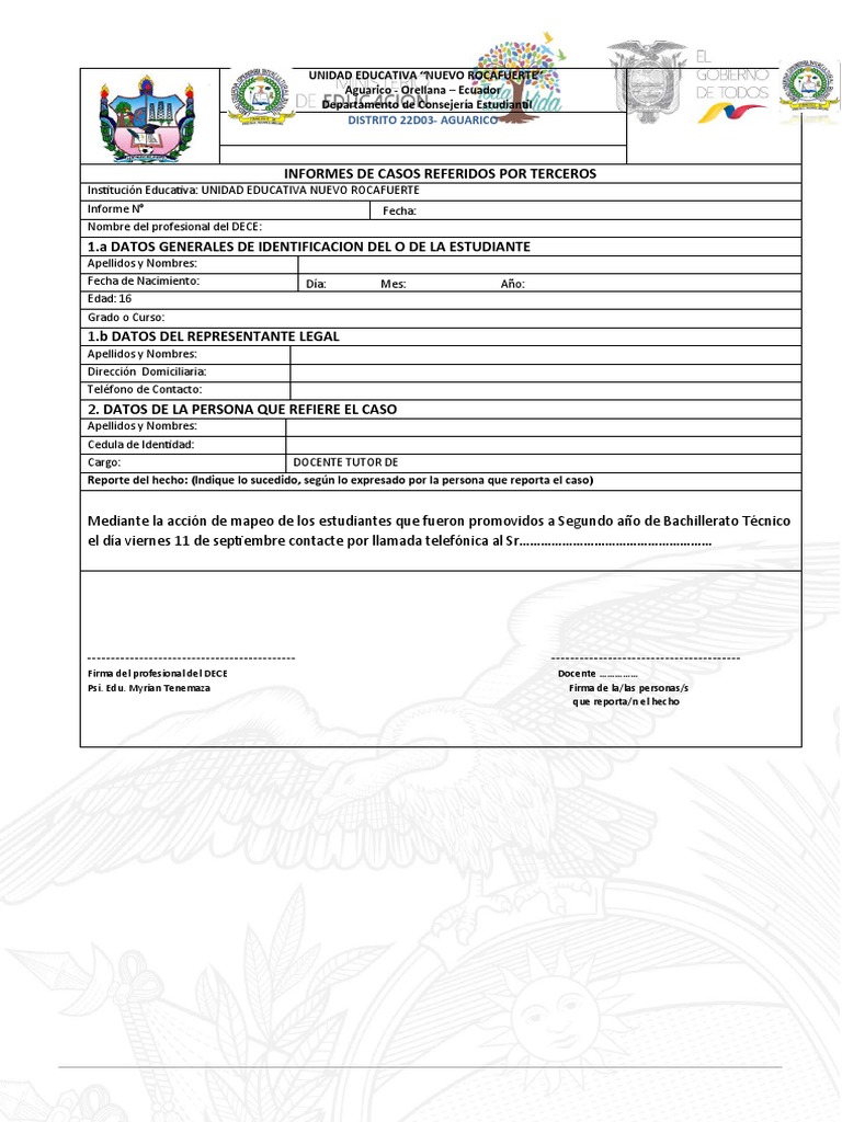 Modelo Informe Dece | PDF