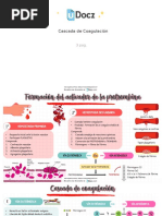 TIEMPO DE SANGRÍA Metodo Duke | PDF | Hemostasia | Plaqueta
