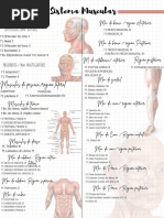 Nomes de 100 Músculos Do Corpo Humano | PDF | Sistema Locomotor ...