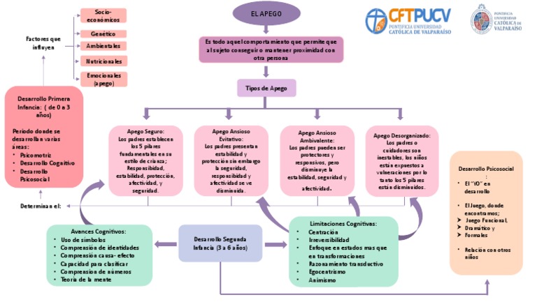 Mapa Conceptual APEGO | PDF | Teoría de apego | Ciencia cognitiva
