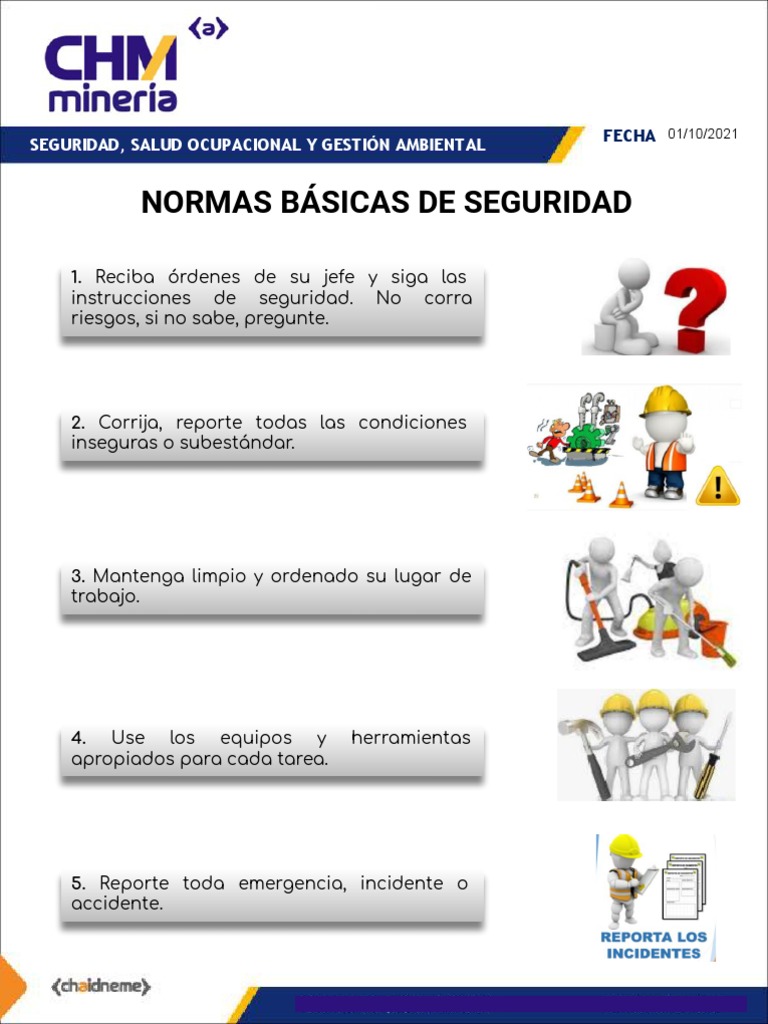 Boletin Normas Basicas de Seguridad | PDF