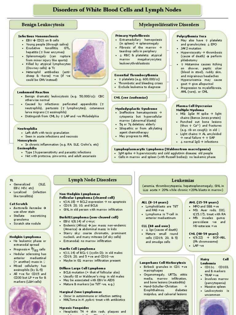 Disorders of White Cells and Lymph Nodes - Summary Chart | PDF ...