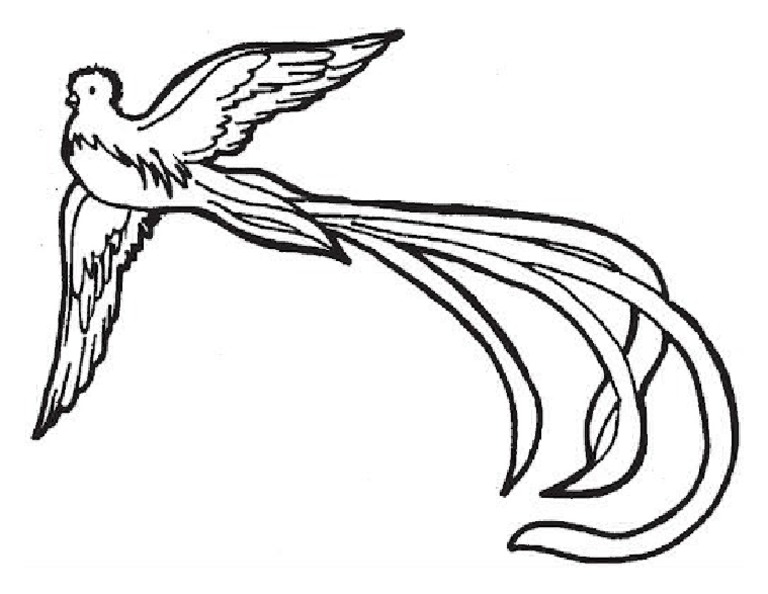 Quetzal | PDF