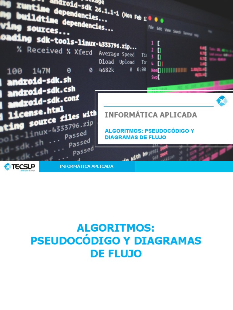 13 Algoritmos | PDF | Algoritmos | Lenguaje de programación