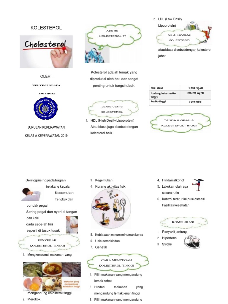 Leaflet Kolesterol Dikonversi | PDF