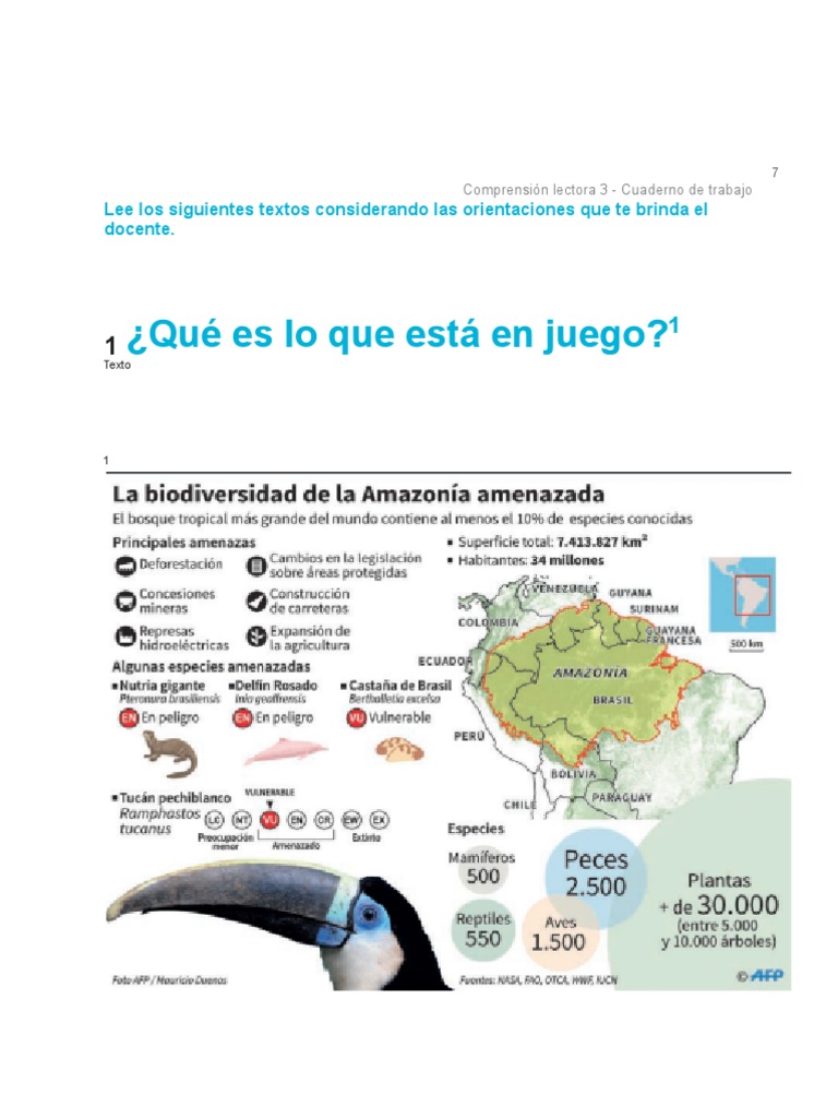 Comprensión Lectora 3, Secundaria Cuaderno de Trabajo | PDF | Selva ...