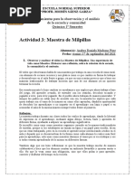 Modelo de Informe Sala de 3 Años. | PDF | Conceptos psicologicos | Cognición