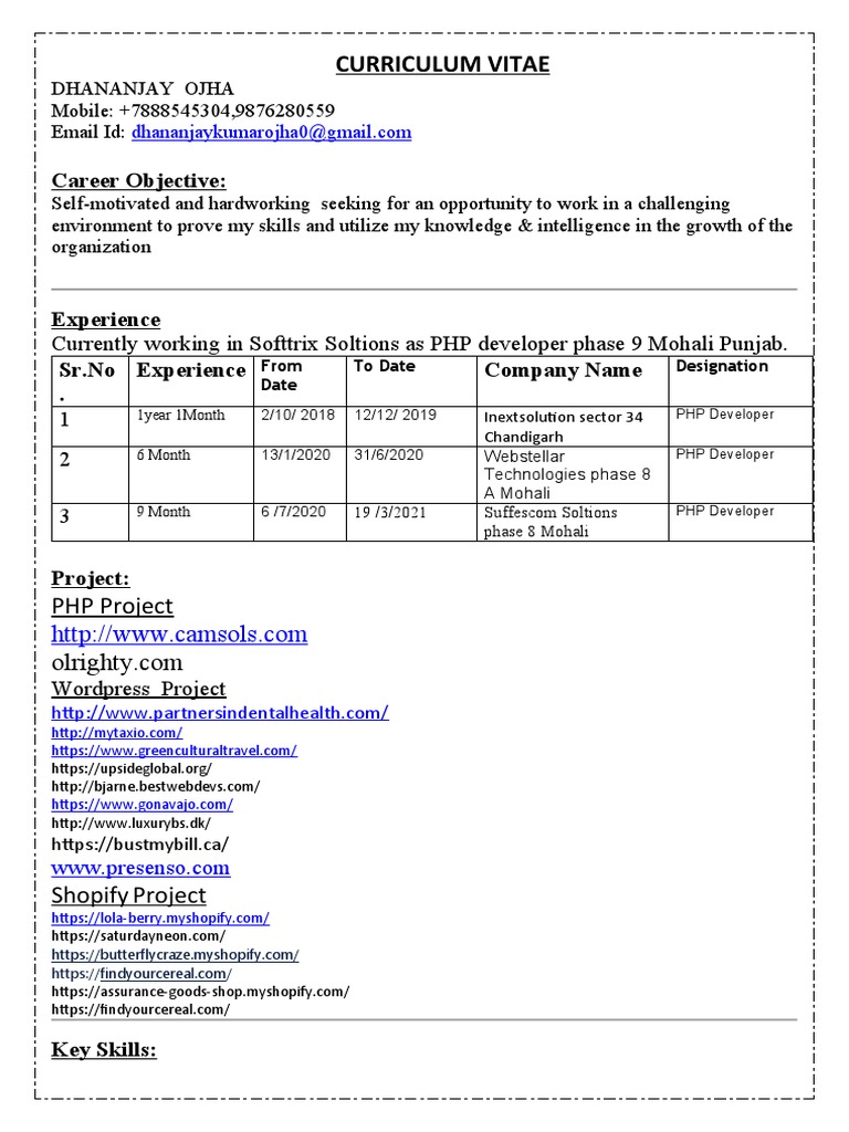 Curriculum Vitae: Career Objective | PDF