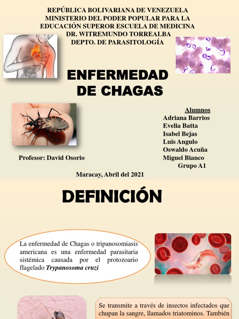 CHAGAS y Sus Vectores | PDF | Biología | Especialidades Medicas
