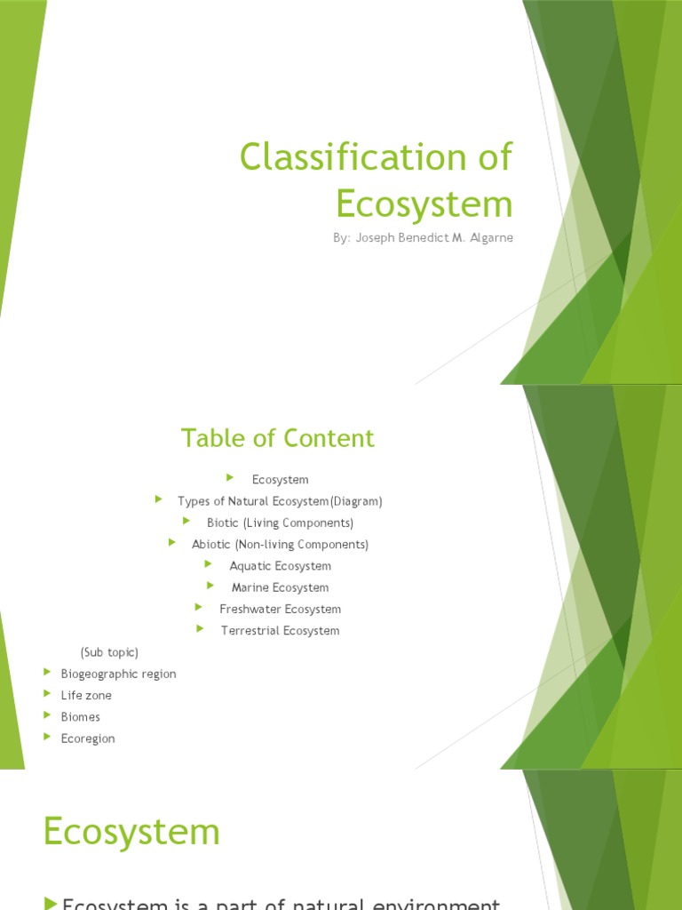 Classification Of Ecosystem Pdf Ecosystem Biogeography
