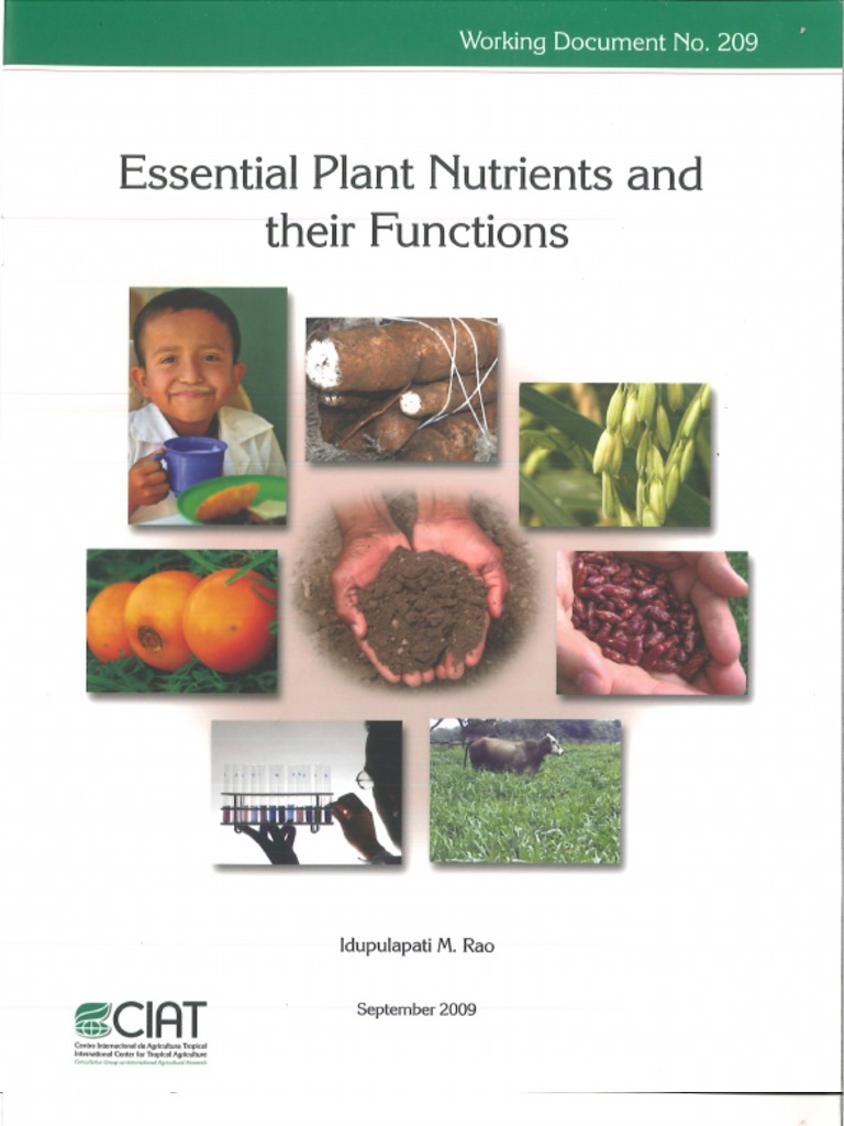 Essential Plant Nutrients | PDF