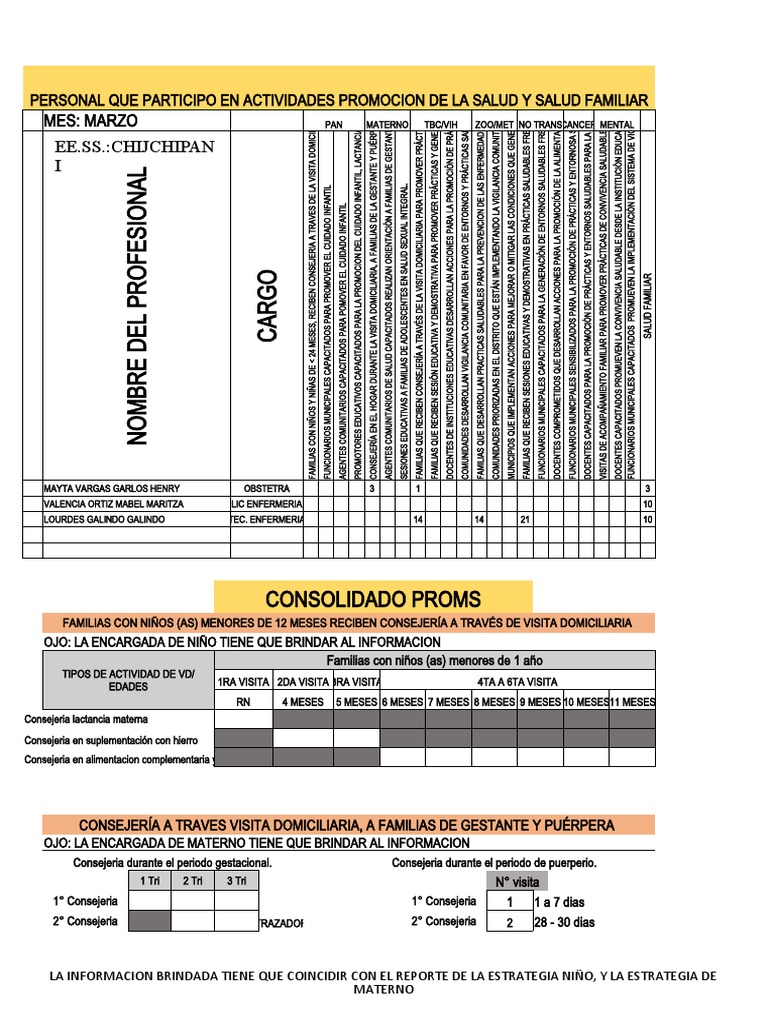 Formato Consolidado Promsa | PDF | Ciencias de la Salud | Salud pública