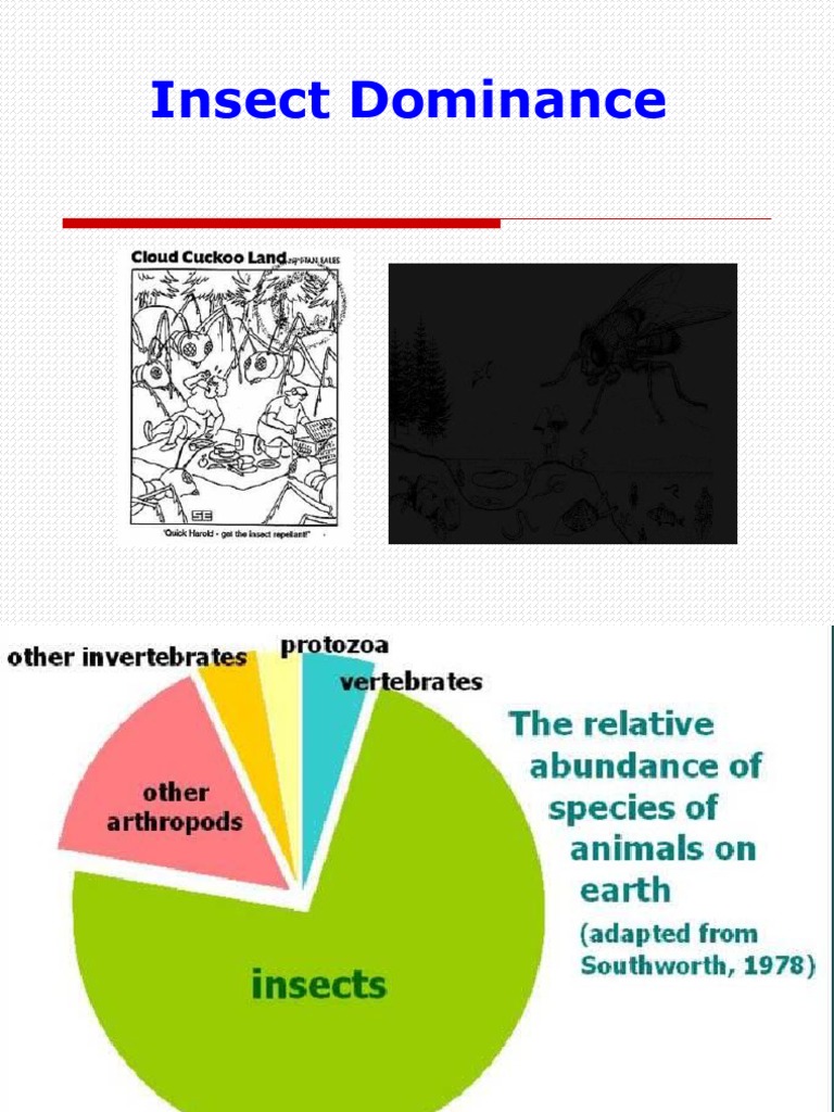 Factors Contributing to the Dominance of Insects: An Analysis of Insect ...