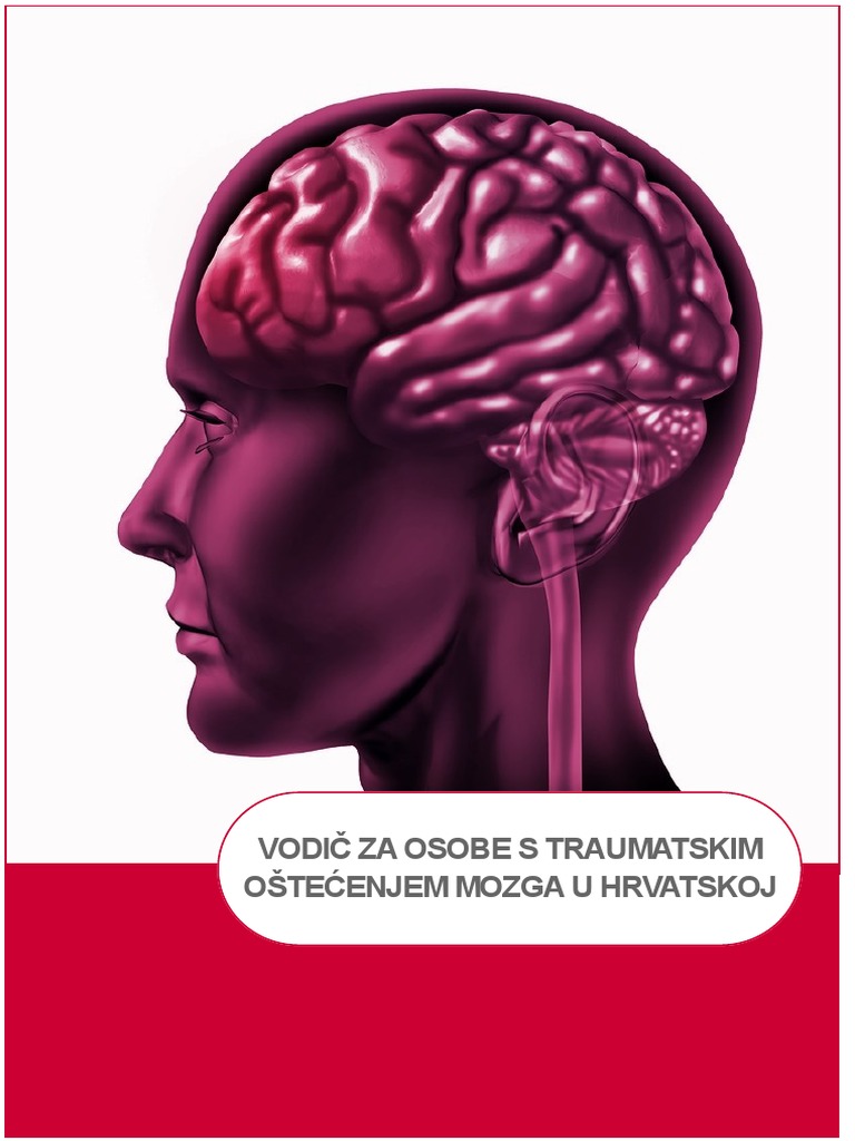 Traumatsko Ostecenje Mozga - Vodic | PDF